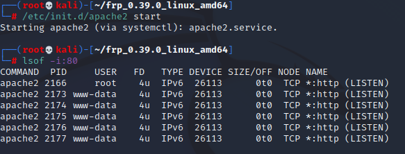 超详细frp配置实现绕过防火墙内网渗透_frp ufw-CSDN博客