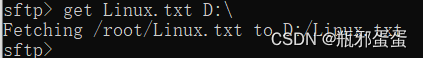 快速学会sftp的 get和put命令，将linux上的linux.txt推送到windows上_sftp.put-CSDN博客