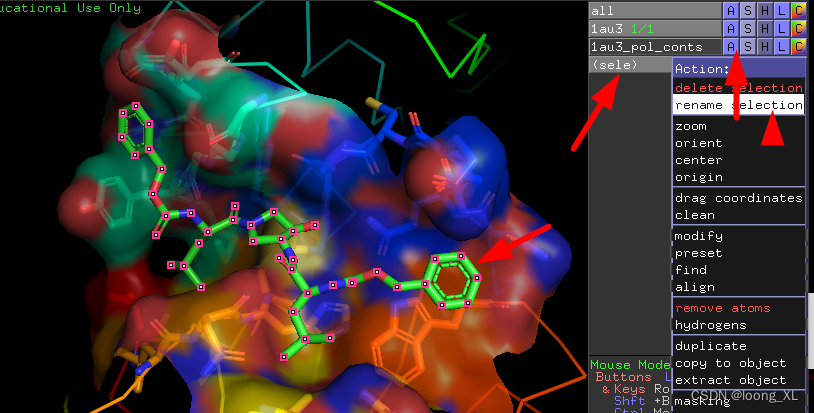 pymol 分离蛋白与小分子保存；pymol分离蛋白多聚体亚基；pymol对接位点交互图展示；去除杂原子_pymol如何去除水分子_loong_XL的博客-CSDN博客