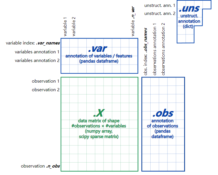 Python Single Cell Analysis Data Structure Anndata Programmer Sought