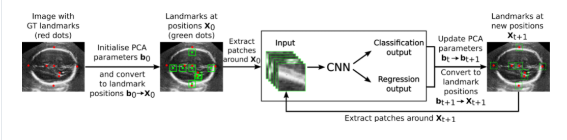 医学图像LandMark整理_medical landmark detection-CSDN博客