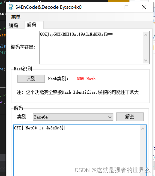 BUUCTF Reverse/[CFI-CTF 2018]IntroToPE_[cfi-ctf 2018]congolexicomatisation-CSDN博客