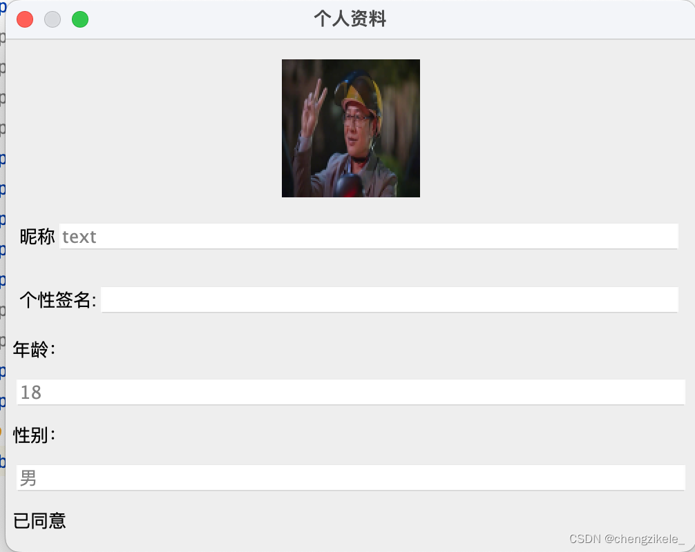 学习总结(Java Swing)_学习java中swing的心得-CSDN博客