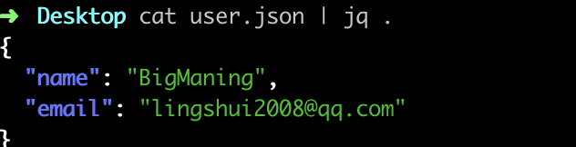 如何在shell命令行里优雅的格式化JSON数据（文件）_shell json格式化-CSDN博客