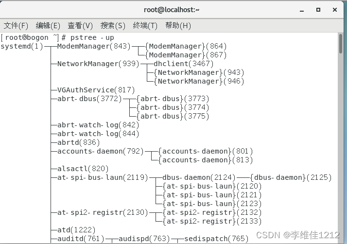 系统学习Linux-程序与进程操作-CSDN博客