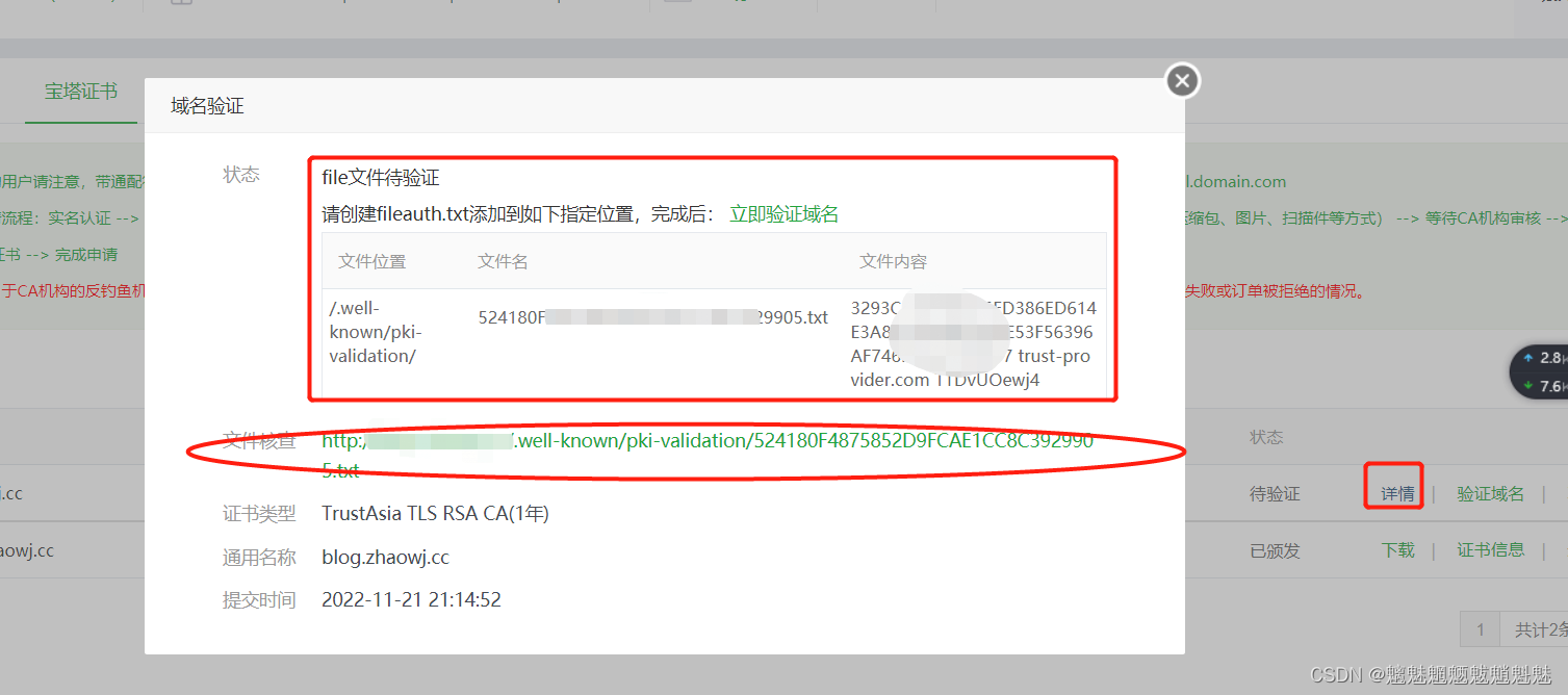 宝塔SSL踩坑：SSL证书域名验证无反应_宝塔ssl证书验证域名没反应-CSDN博客