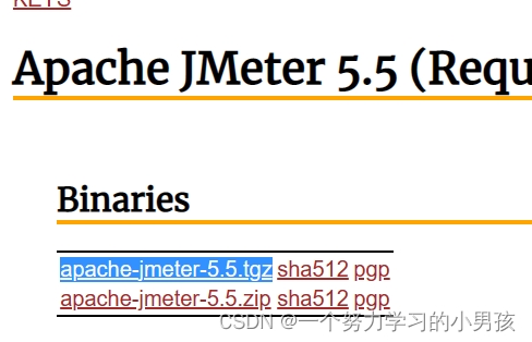 Linux部署jmeter_linux安装jmeter-CSDN博客