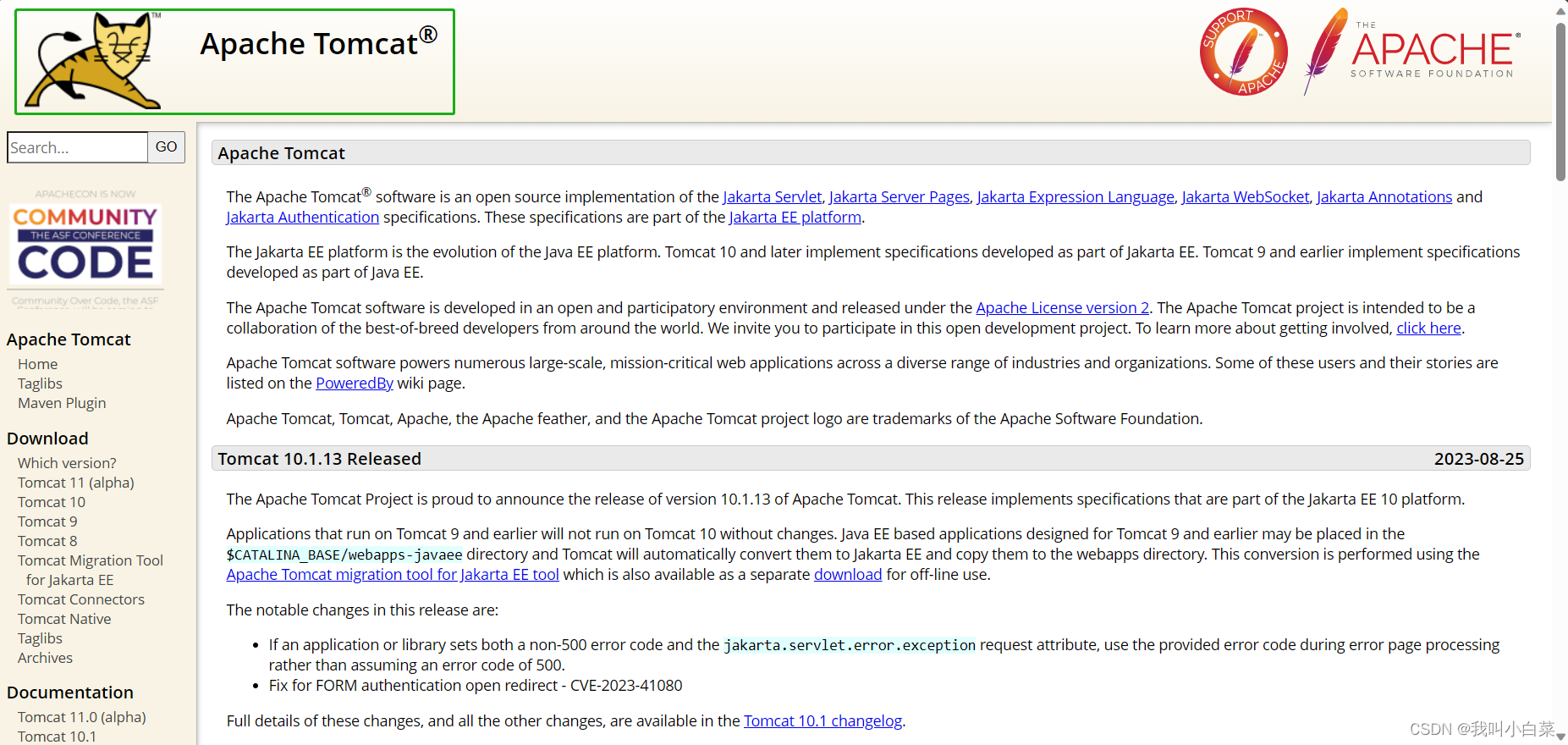 【Tomcat】安装详细讲解_tomcat官网-CSDN博客