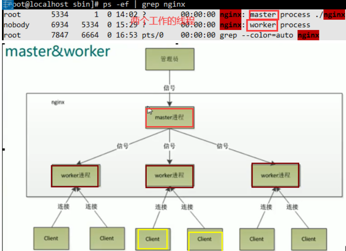 5.Nginx 的工作原理-CSDN博客