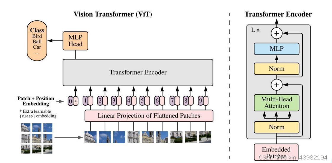 第6周学习：Vision Transformer &； Swin Transformer_patch merging层结构怎么画-CSDN博客