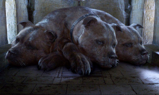 Kerberos基础及KDC服务（理论知识）_kerberos kdc-CSDN博客