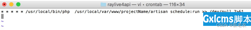 Php 零点定时任务php Laravel定时任务schedule【干货】laravel Schedule Csdn博客 3479