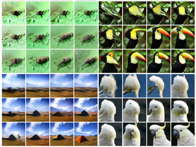 Scalable Diffusion Models with Transformers-CSDN博客
