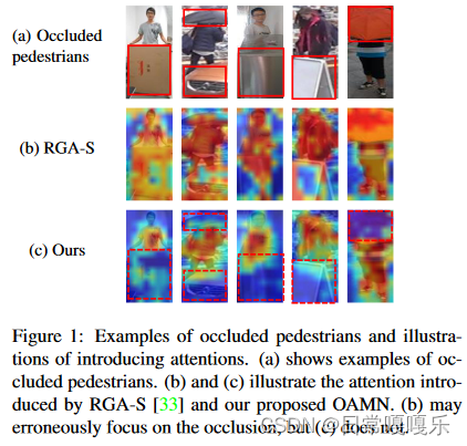 Occlude Them All: Occlusion-Aware Attention Network for Occluded Person ...