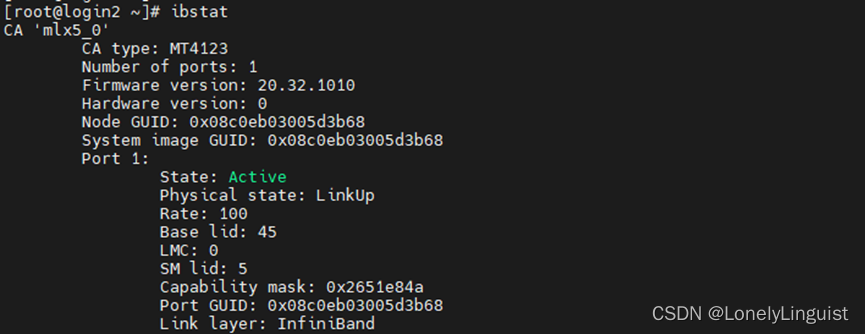 Infiniband/RDMA技术梳理_opensm-CSDN博客