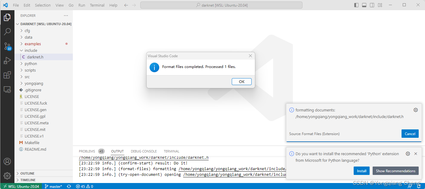 Visual Studio Code (VS Code) 格式化选定文件夹中的所有文件_vscode格式化所有文件-CSDN博客