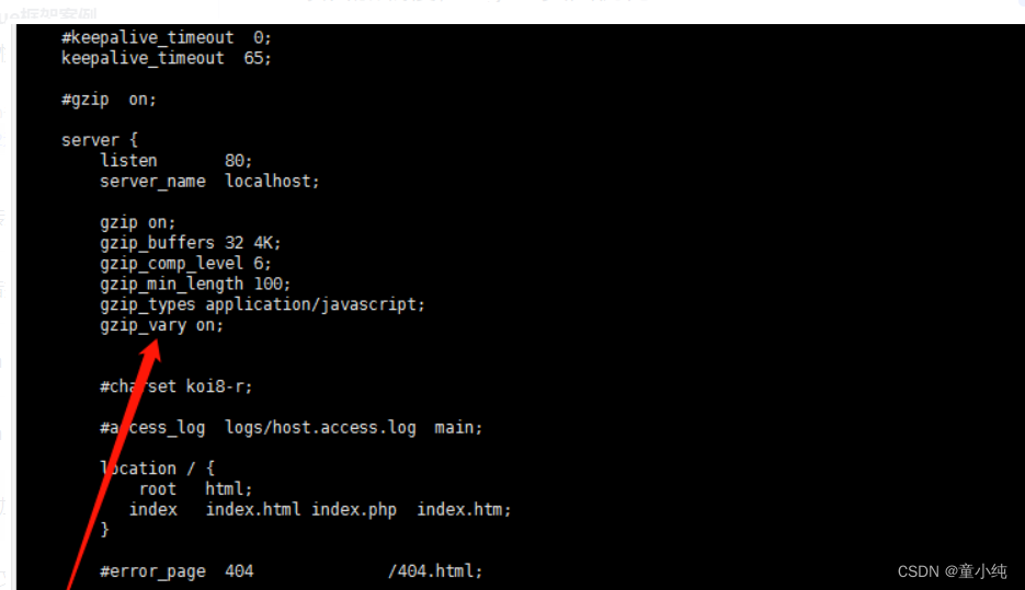 vue项目加载慢，Nginx页面优化_nginx第一次加载js慢-CSDN博客