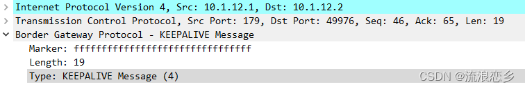 BGP基础学习-实验报告_bgp协议实验报告-CSDN博客