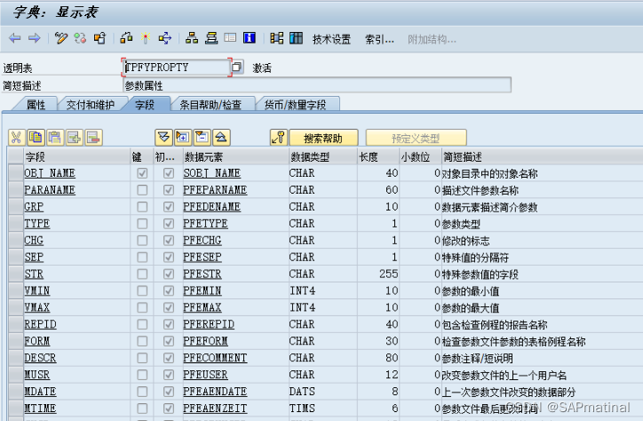 Sap 服务器的参数文件 Sap 默认端口 文件 Csdn博客
