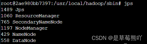 第1关：Hadoop集群的部署，安装和管理_第1关:hadoop集群的部署,安装和管理-CSDN博客