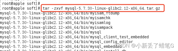 Linux虚拟机安装MySQL的操作过程-CSDN博客