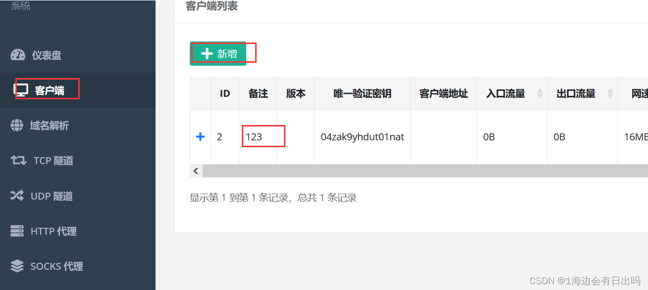 内网穿透---NPS搭建_linux安装nps-CSDN博客