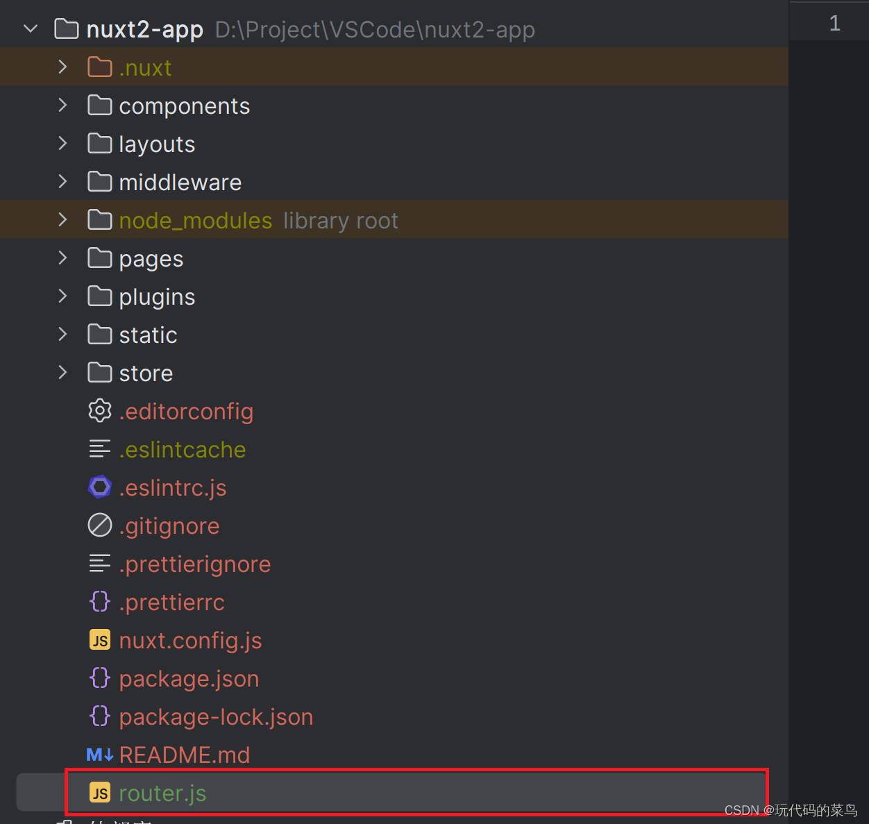 nuxt自定义路由_nuxt 如何使用 vue router 配置-CSDN博客