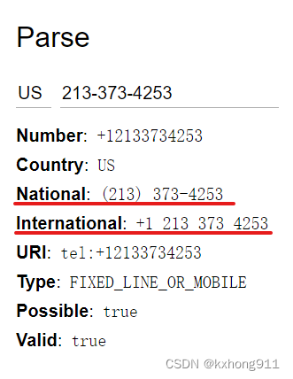 JavaScript, 各国电话号码的格式化_libphonenumber-js-CSDN博客
