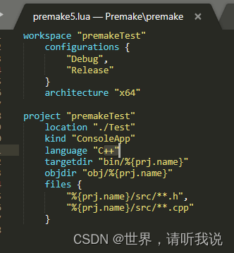 Premake-CSDN博客
