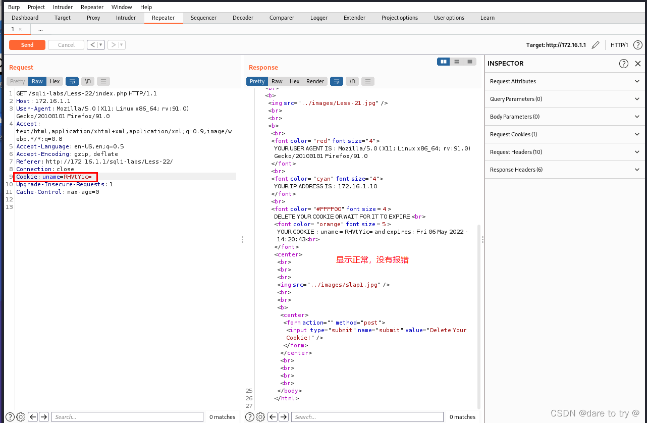 【SQL注入-11】base64注入案例—以Sqli-labs-less22为例（借助BurpSuite工具）_base64注入语句-CSDN博客