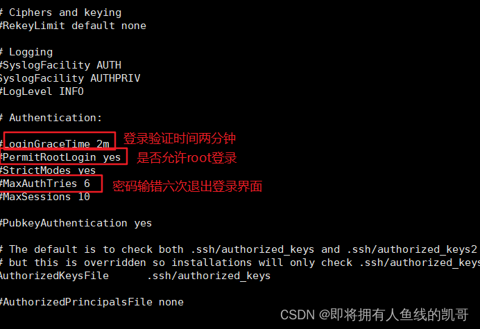 Linux中远程访问和控制(ssh和tcp Wrappers)sship10086 Csdn博客