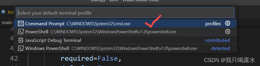 vs code终端 conda activate无法激活虚拟环境_vscode的终端无法激活-CSDN博客