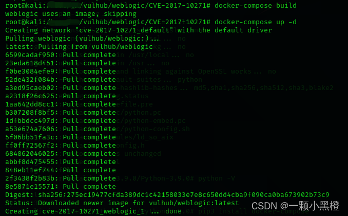 linux/kali中的vulhub靶场搭建_kail搭建vulnhub靶场-CSDN博客