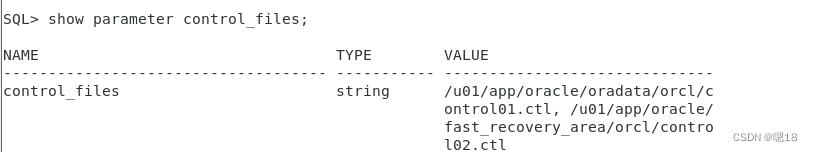 Oracle控制文件和重做日志文件_日志文件 oracle-CSDN博客