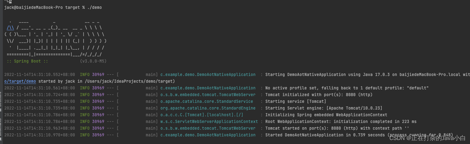 Springboot 3.0之Spring Native初体验_springboot native-CSDN博客