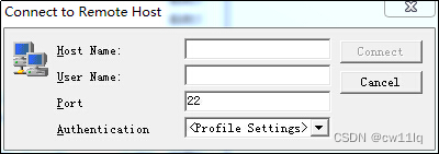windows中安装SSH Secure Shell Client传输软件_sshsecureshellclient安装教程-CSDN博客