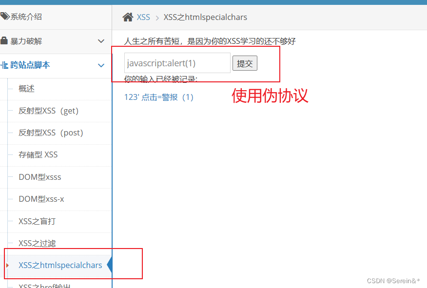 XSS平台偷取cookie使用+XSS漏洞-CSDN博客