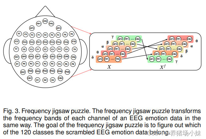 GMSS: Graph-Based Multi-Task Self-Supervised Learning for EEG Emotion Recognition-CSDN博客