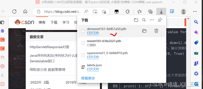 基于pytorch的CAM代码单张图片实战（超详细版，修改部分已经详细标出）_cam图代码-CSDN博客