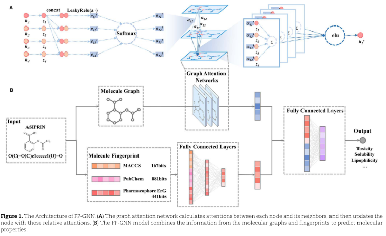 Briefings in bioinformatics2022 | FP-GNN+：用于分子性质预测的versatile DL架构-CSDN博客