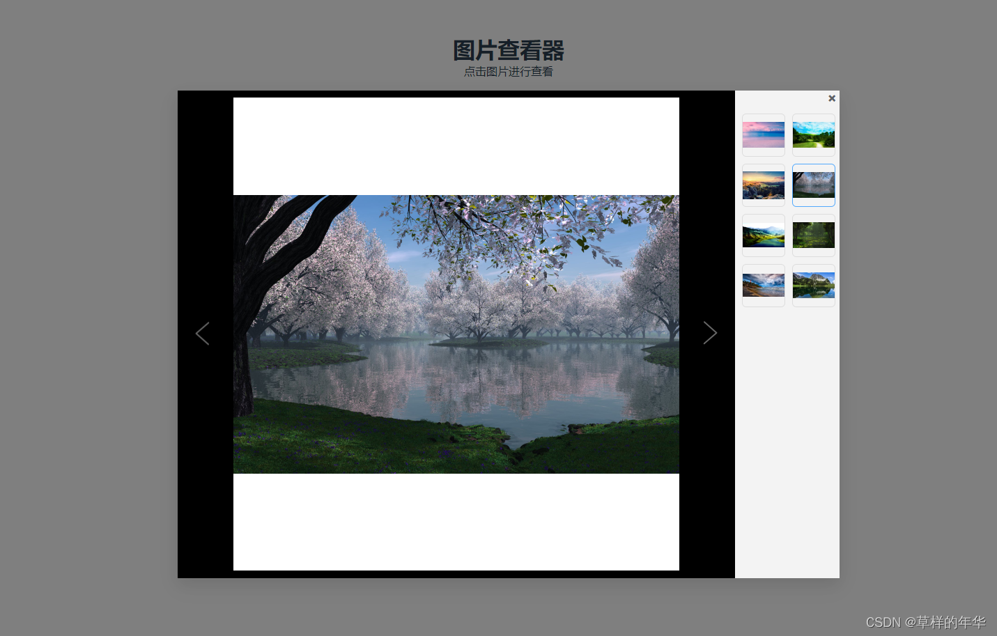 vue项目图片查看器，点击或左右切进行图片放大查看_pc端vue图片点击查看-CSDN博客