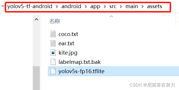 【教程】基于tensorflow Lite的yolov5部署过程pt转tflite Csdn博客