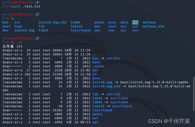 渗透测试基础- - -linux权限维持应急_libprocesshider-CSDN博客