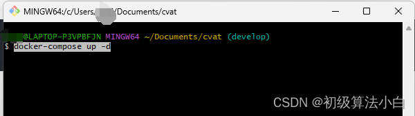 Windows下Docker部署cvat详细过程_error response from daemon: no such container: cva-CSDN博客