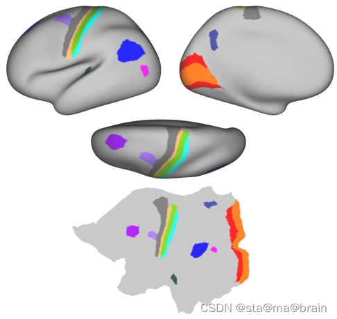 Workbench Command——cifti格式操作-CSDN博客
