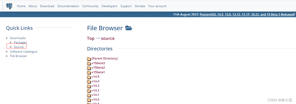 01、postgresql二进制安装 Postgresql 二进制安装 Csdn博客