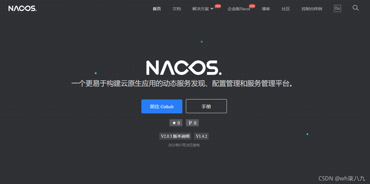 Nacos安装详细过程_安装nacos-CSDN博客