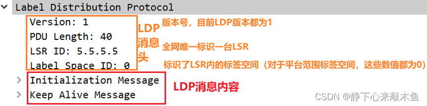 MPLS——LDP四种消息类型及其报文、五种状态_ldp报文的4种类型_静下心来敲木鱼的博客-CSDN博客