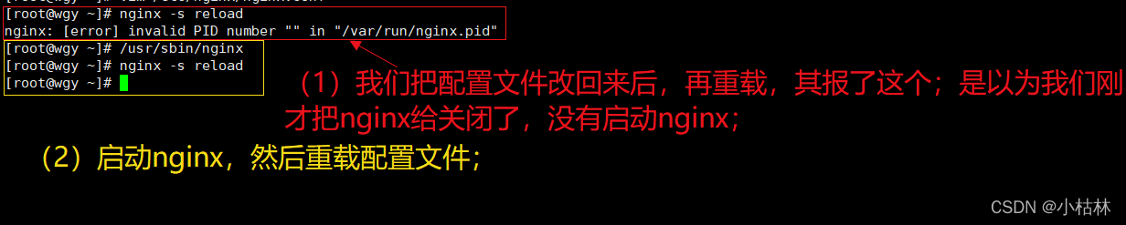 Nginx入门3:nginx常用命令;(启动nginx;启动时,指定配置文件;测试配置文件,查看当前使用的哪个配置文件;显示nginx版本;停止nginx;修改配置文件后,重载配置文件